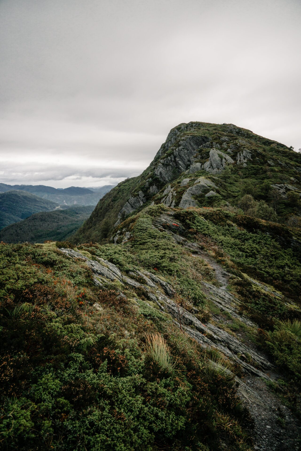 Ethics and Compliance - Aristone